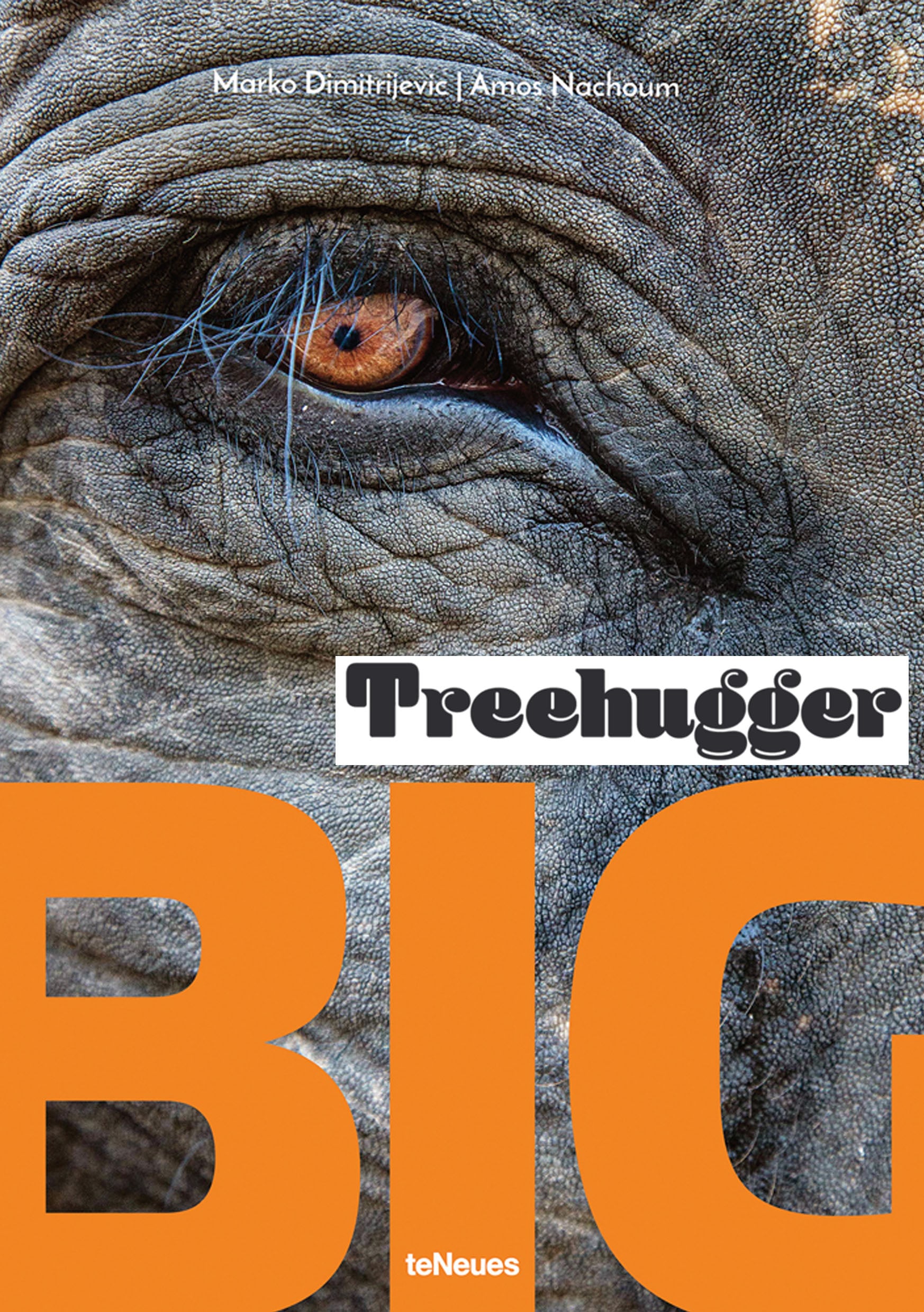 BIG is reviewed in the Treehugger - ACC Art Books UK