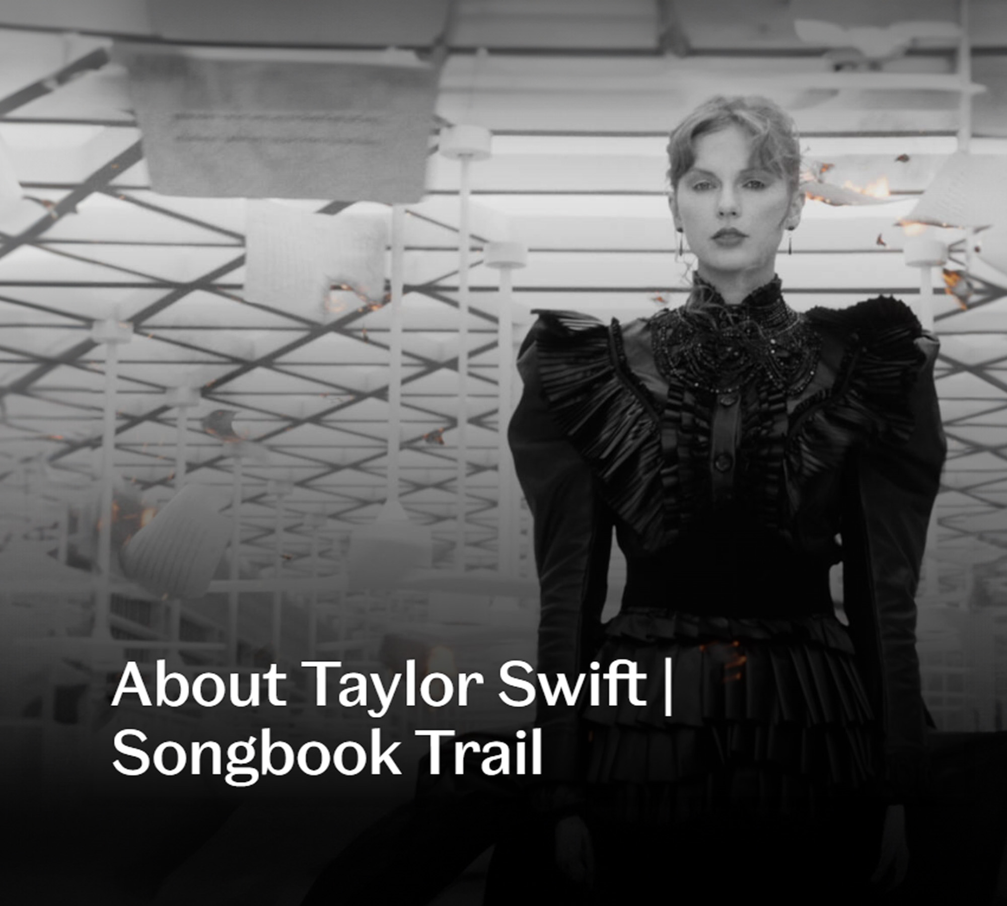Taylor Swift - V & A London, UK - ACC Art Books UK