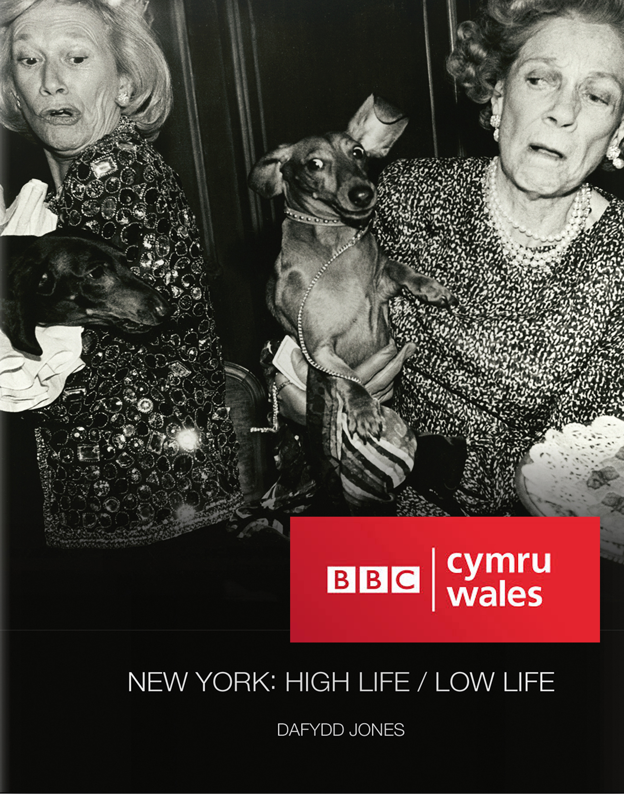 New York: High Life / Low Life in BBC Wales - ACC Art Books UK