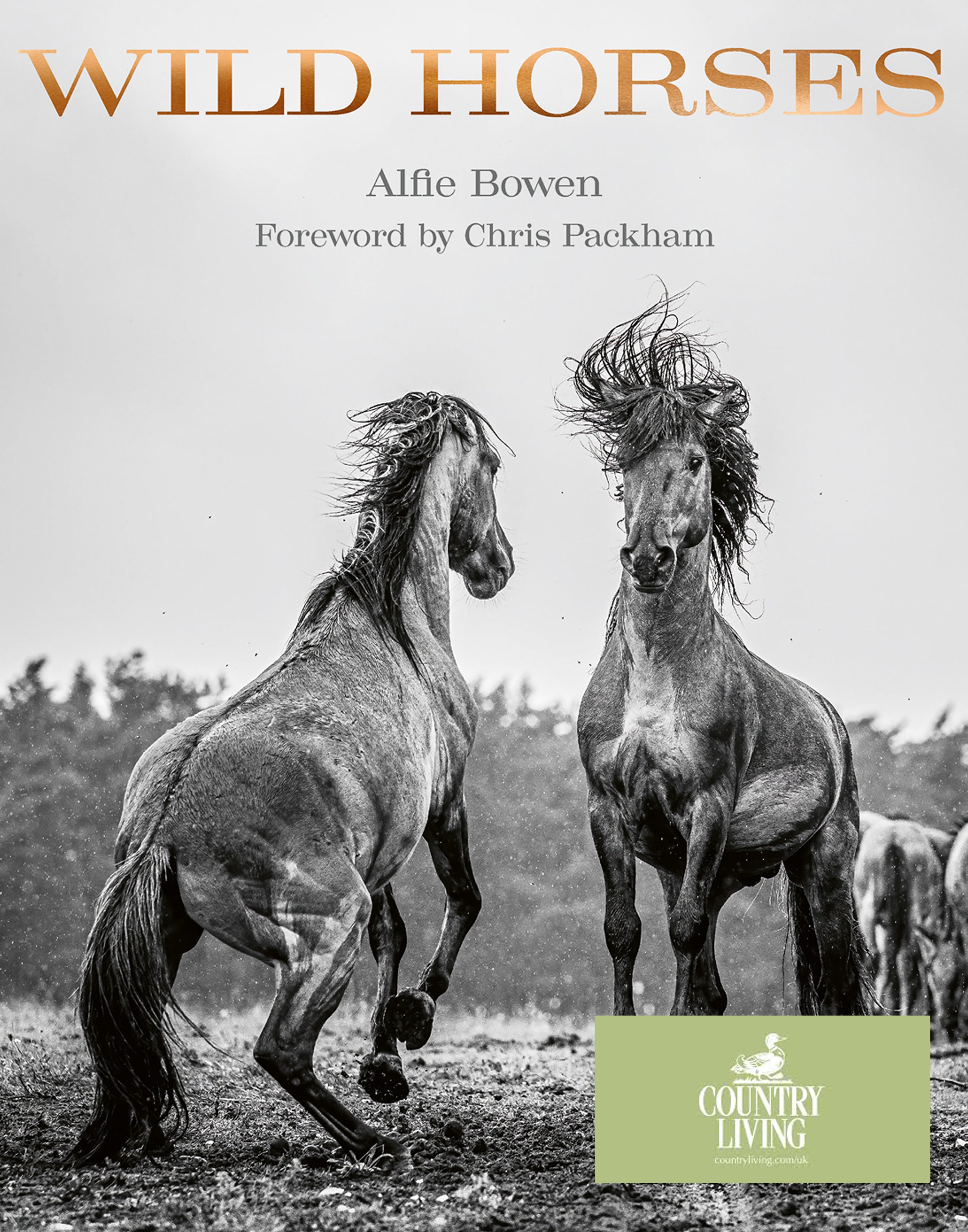 Wild Horses in Country Living - ACC Art Books UK
