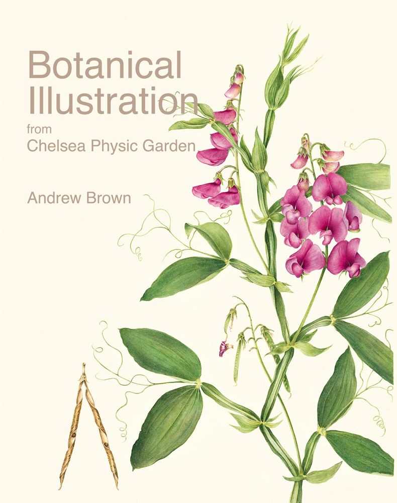 The Art of Botanical Illustration - ACC Art Books UK