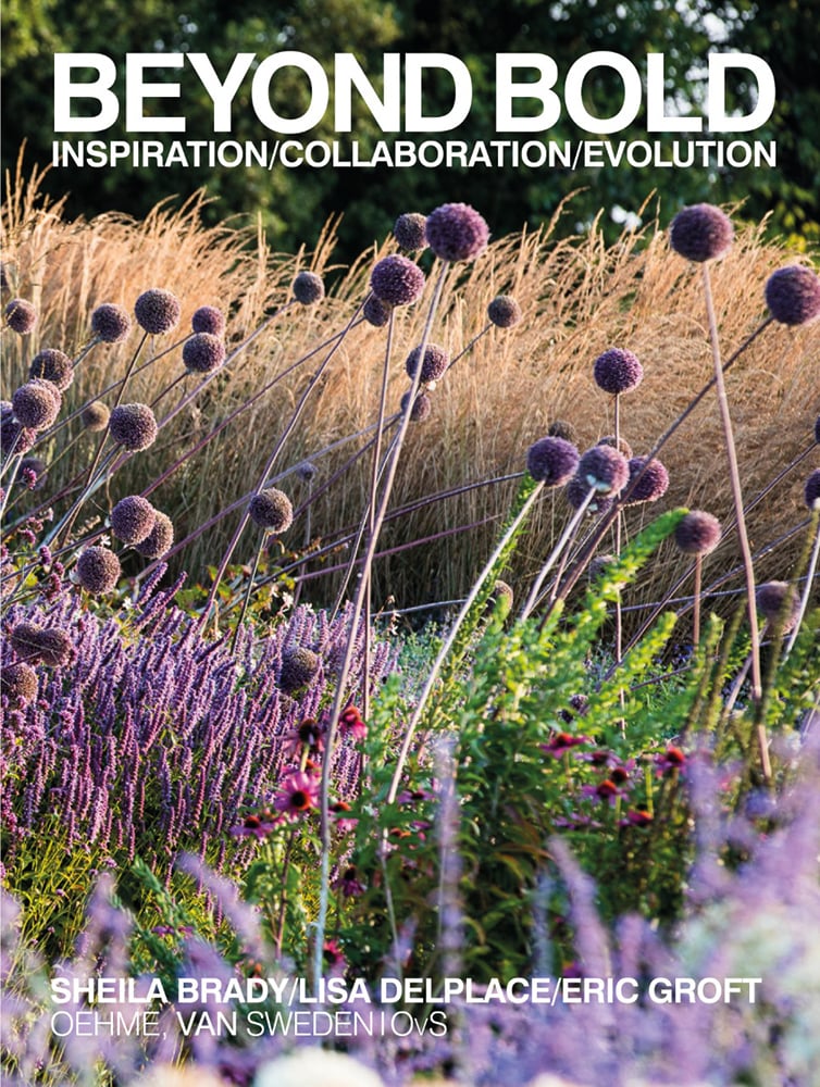 Beyond Bold: Inspiration, Collaboration, Evolution - ACC Art Books US