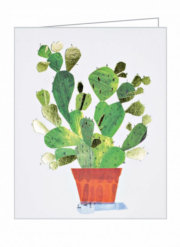 Cactus Notecard Set - ACC Art Books US