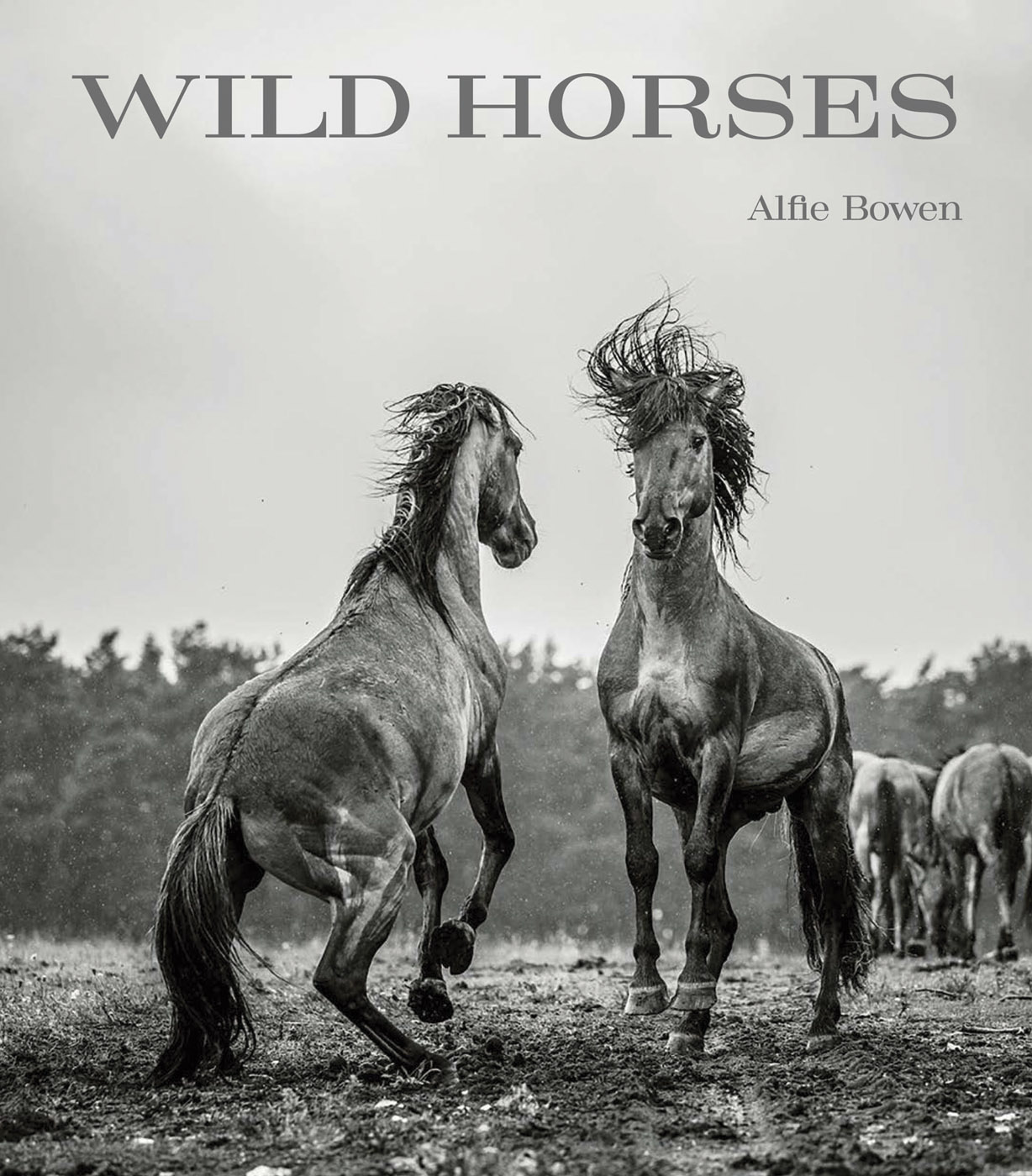 Wild Horses - ACC Art Books US
