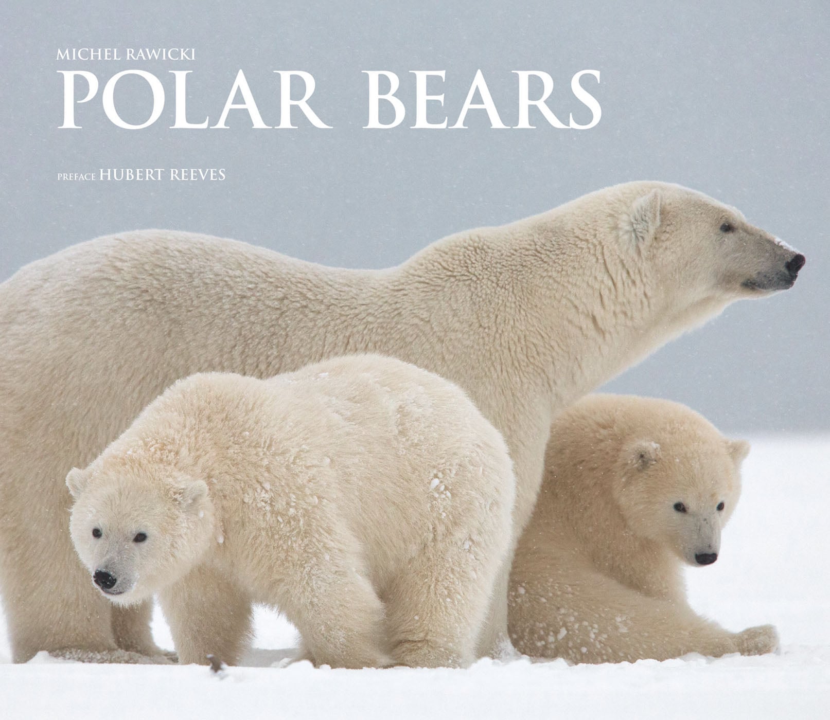 Polar Bears - ACC Art Books US