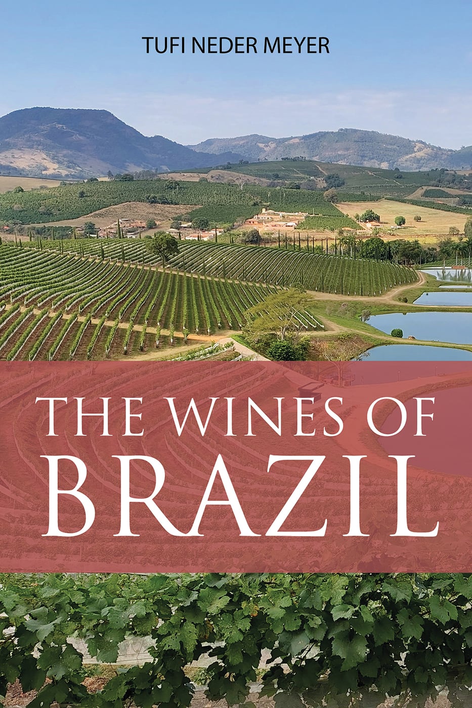 The Wines of Brazil - ACC Art Books US