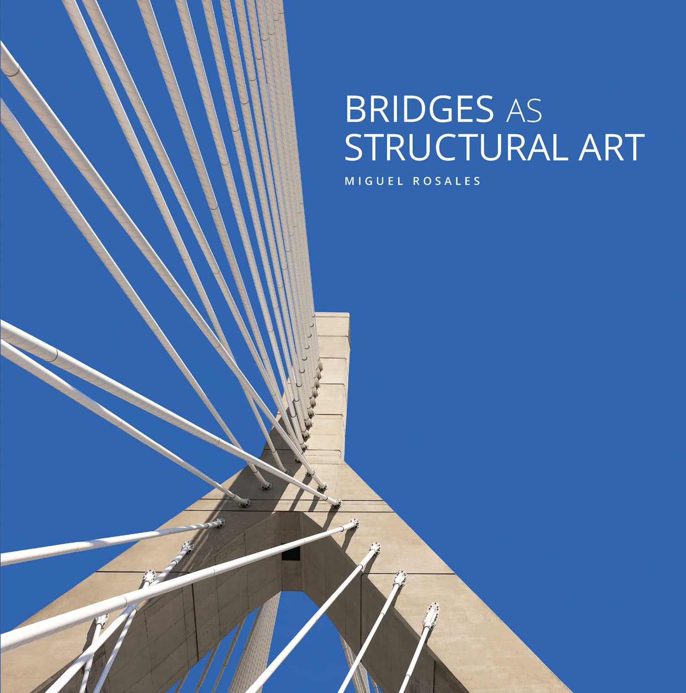 Bridges as Structural Art - ACC Art Books UK