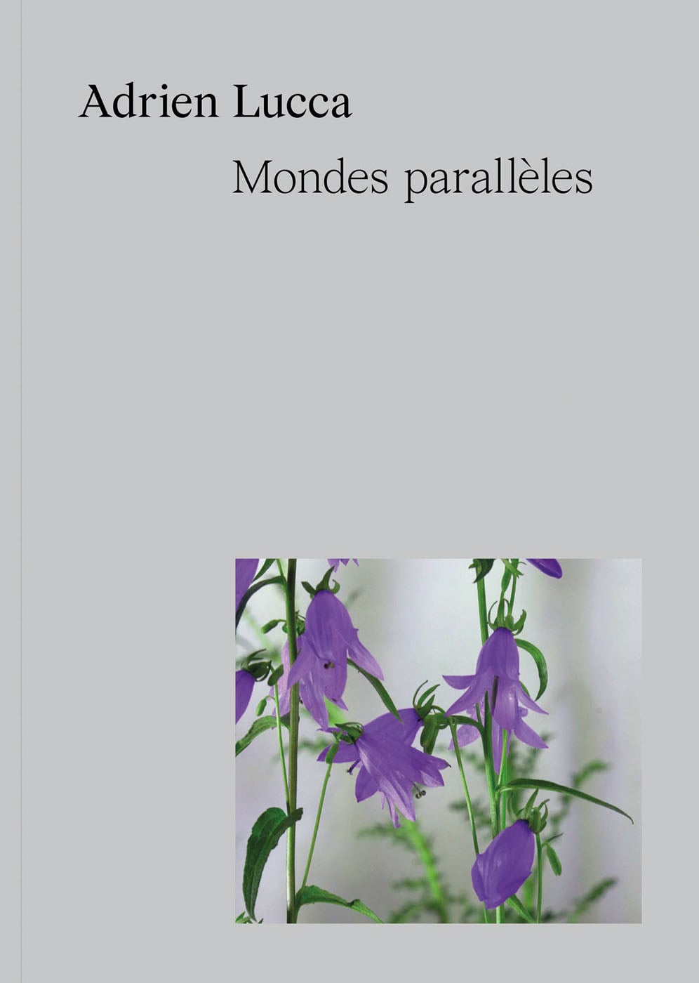 Adrien Lucca. Parallel universes - ACC Art Books UK