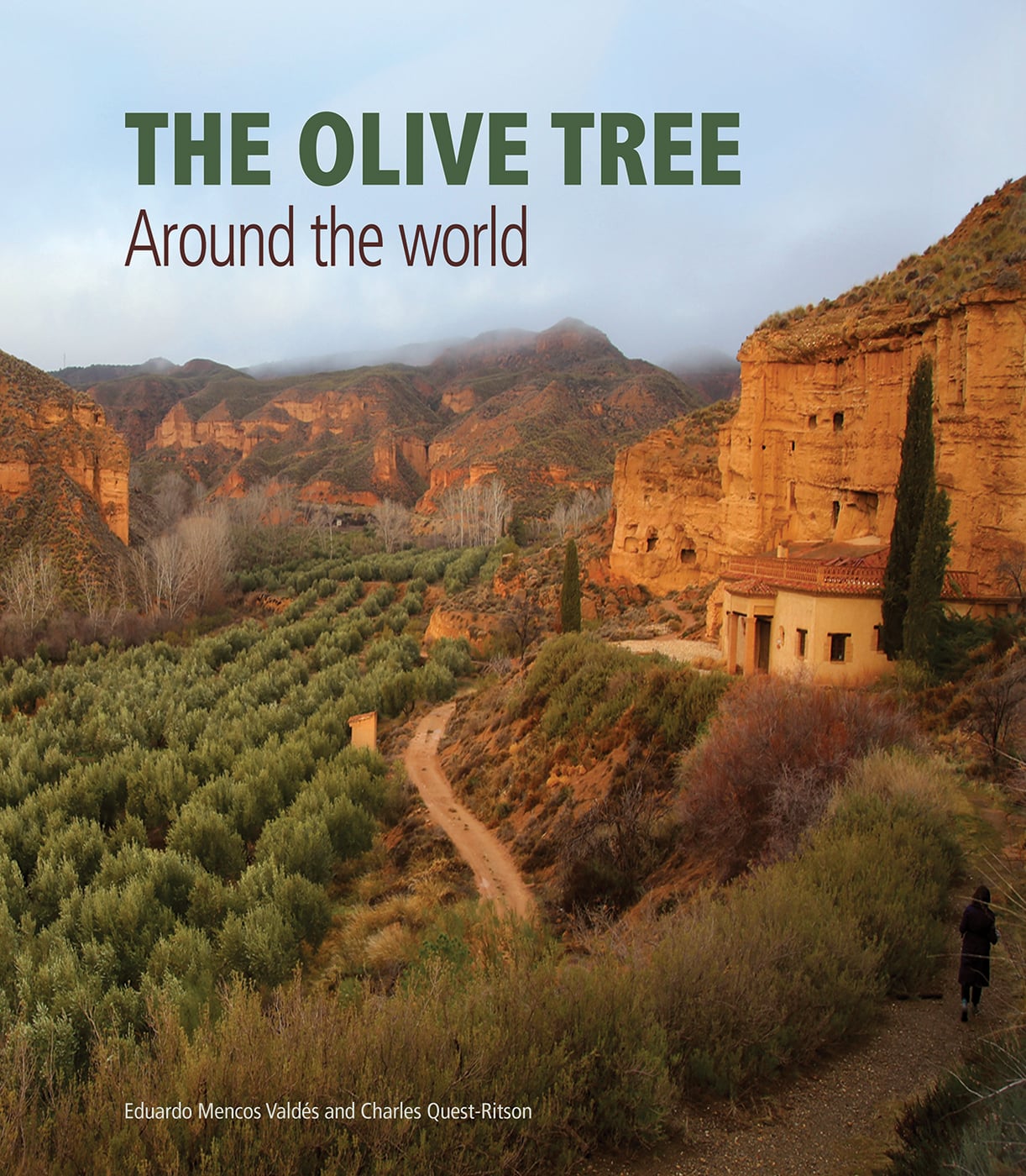 The Olive Tree - ACC Art Books US