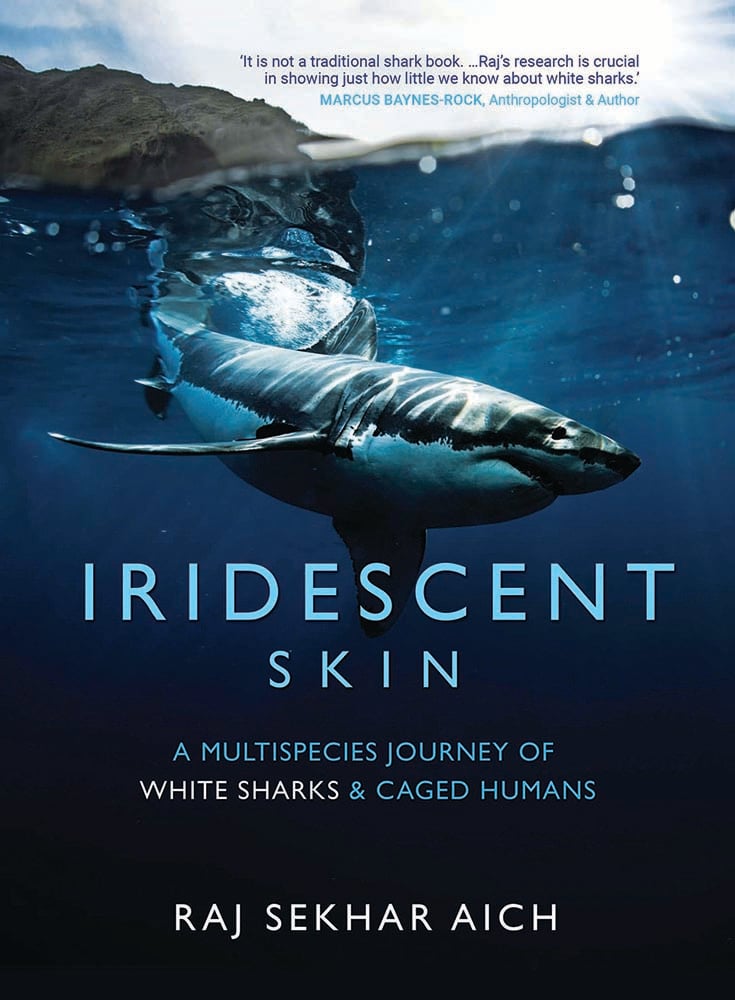 Iridescent Skin - ACC Art Books US