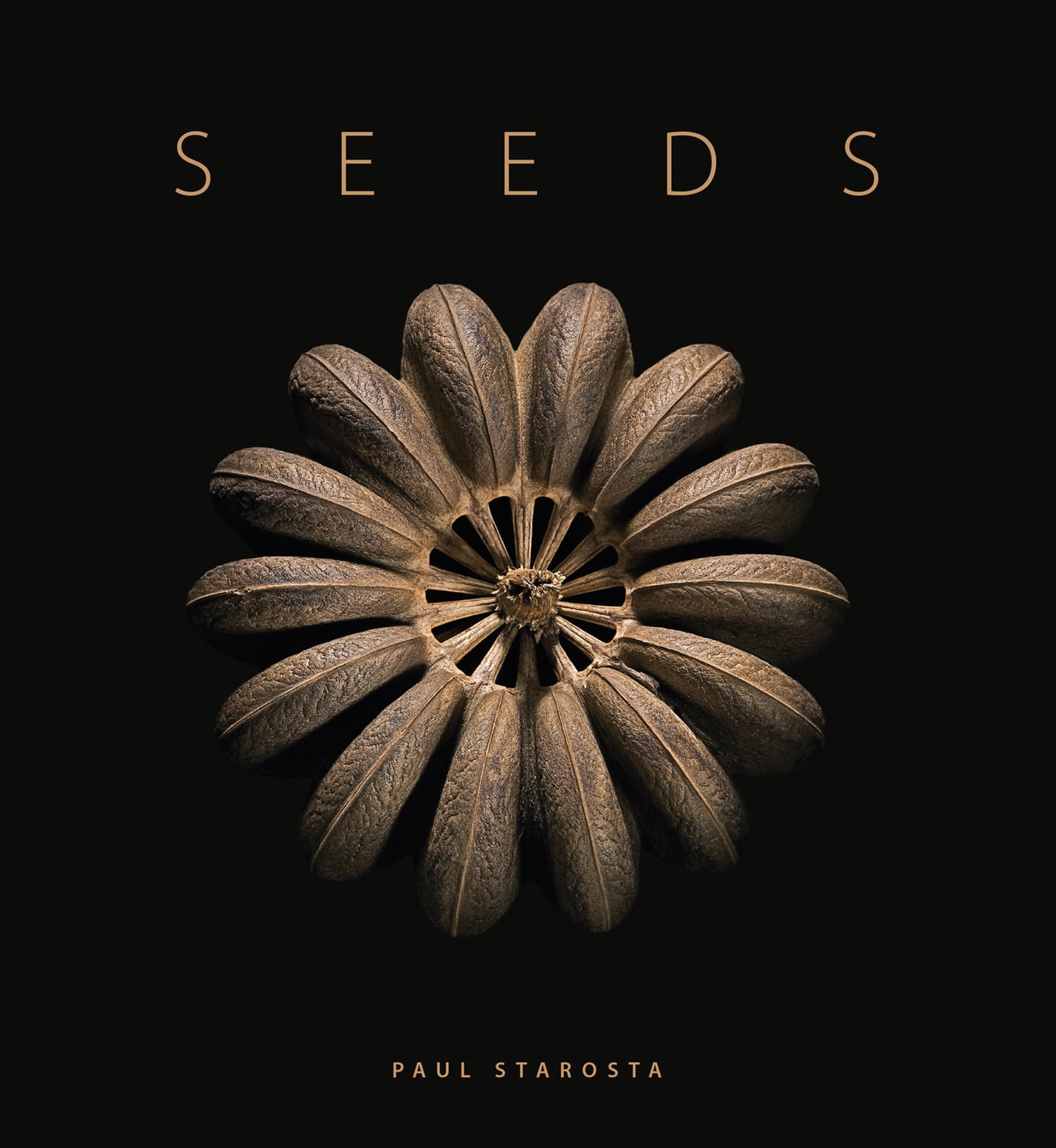 Seeds - ACC Art Books UK