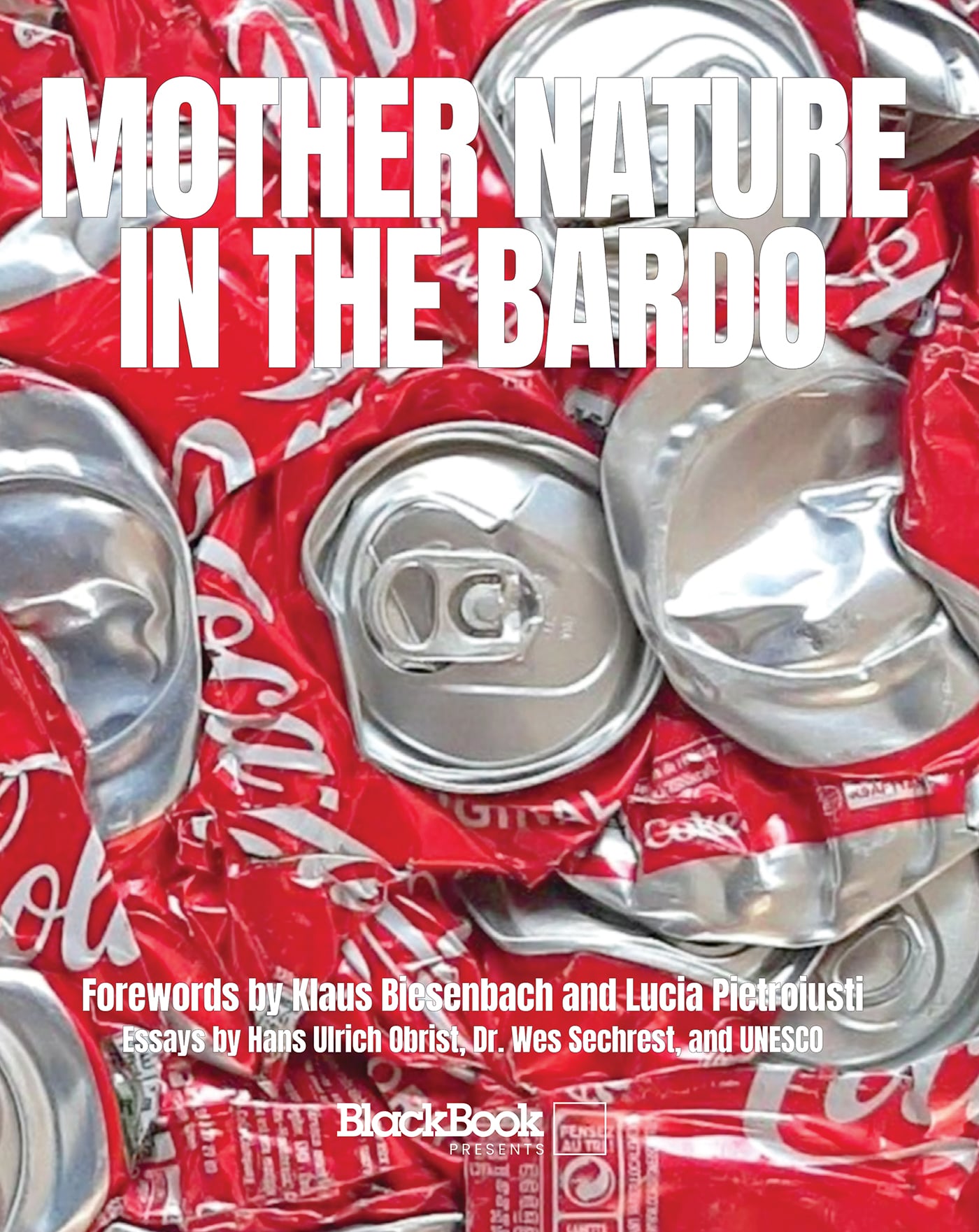 Mother Nature in the Bardo - ACC Art Books US